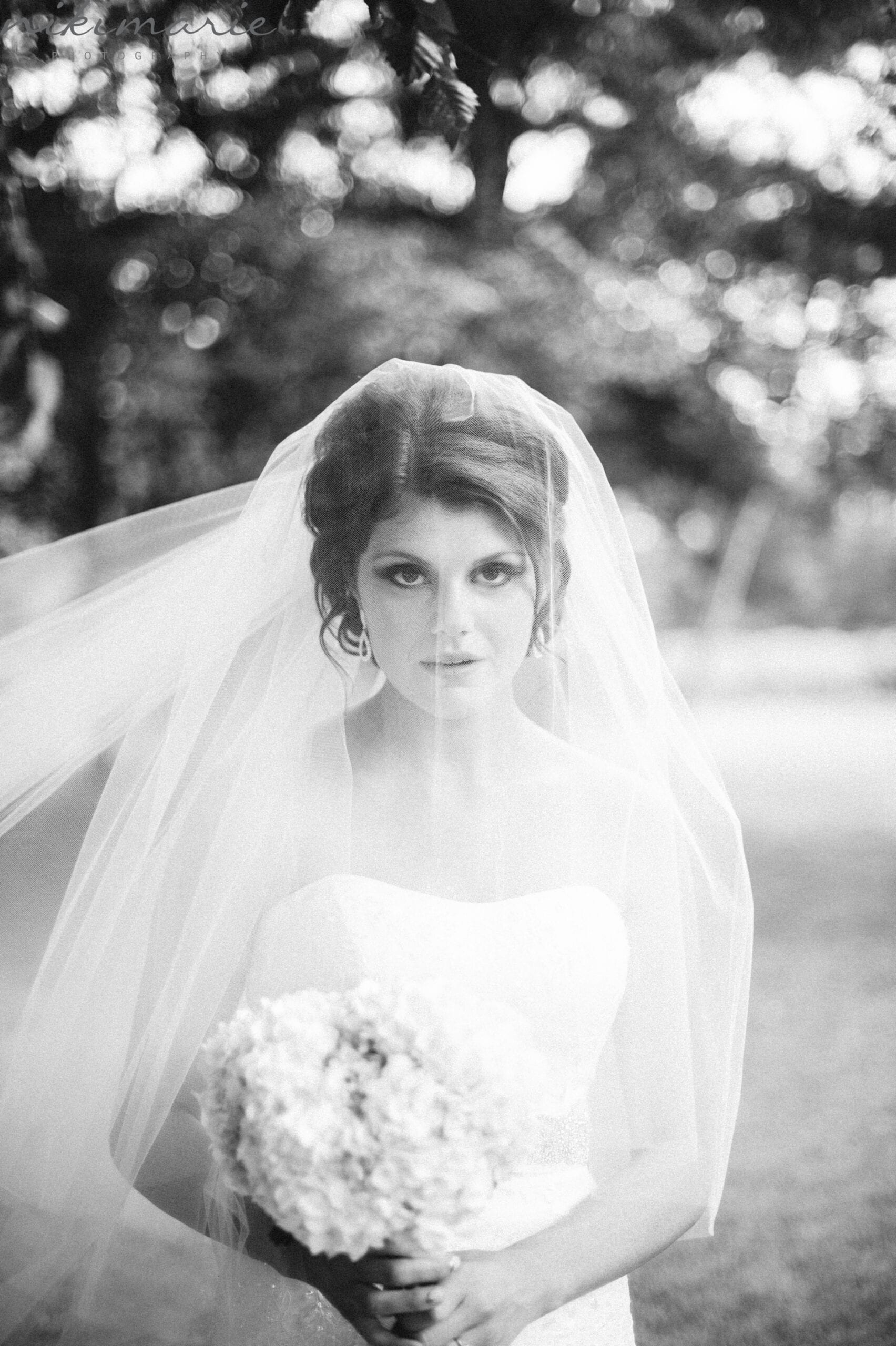 Kayla & Kyle | Michigan Wedding | Southeastern Michigan Photographer ...